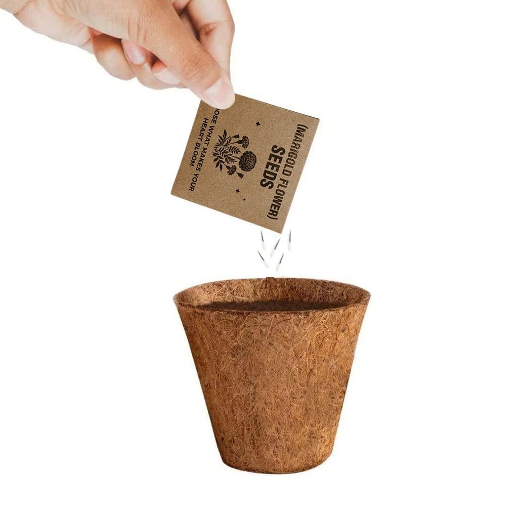 eco-neutral® All-in-One Plant Grow Kit – Binsbay